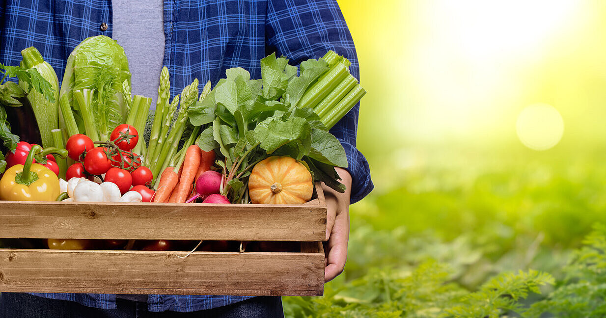 GfRS Info-Service 4/2023